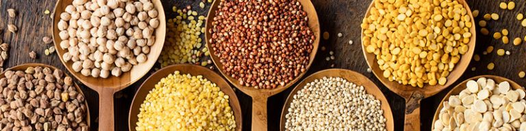 Analyse des grains - HTDS